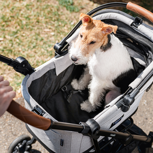 QUEEN & KING & TOW BAR PET BIKE TRAILER - M – FikaGO