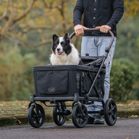 QUEEN & KING & TOW BAR PET BIKE TRAILER - M – FikaGO